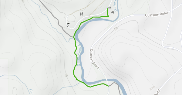 Quinsam River Trail Hiking Trail - Campbell River, BC