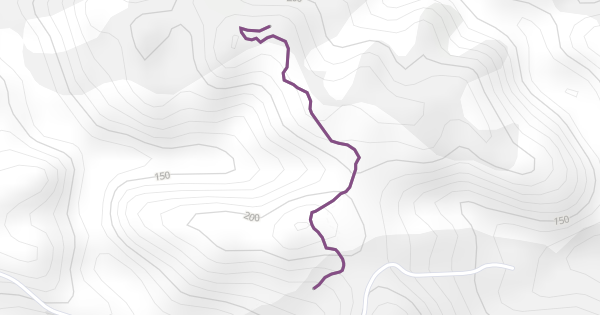 Waipu Caves Track Hiking Trail - Waipu Caves