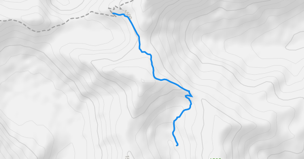 Snagtooth Trail Multi Trail - Randle, Washington