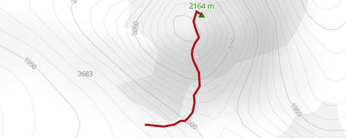 Mount Yoran Access Hiking Trail - Oakridge, Oregon