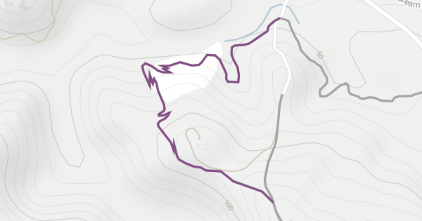 Tarata Place Bike Track Mountain Biking Trail