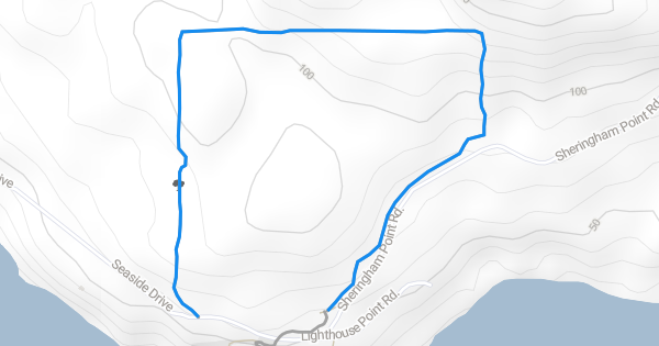 Lighthouse View Trail Hiking Trail - Jordan River, BC