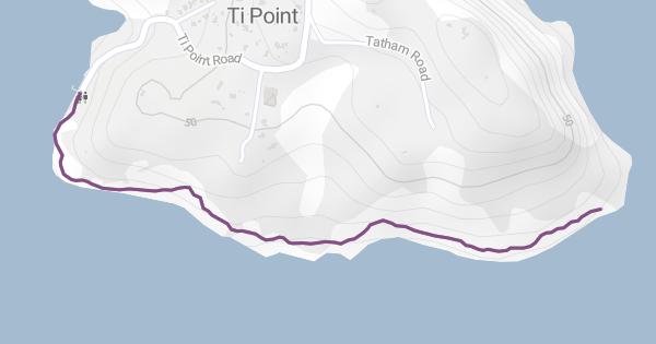 Ti Point Coastal Walkway Hiking Trail - Warkworth