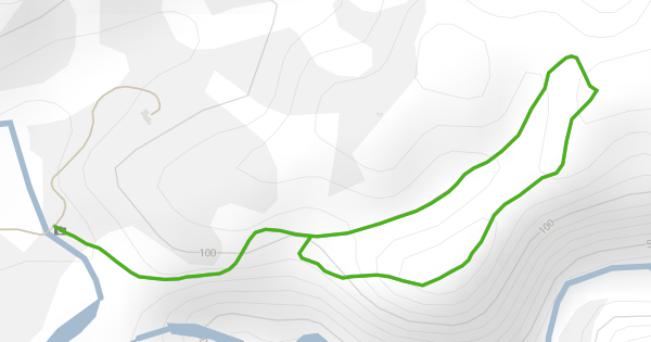 Taheke Waterfall Track Hiking Trail - | Trailforks