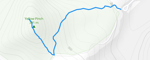 Yellow Pinch Trail Hiking Trail - Rathdowney