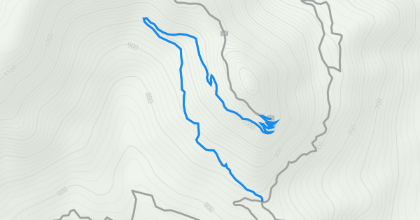 Mount Cordeaux Track Hiking Trail - Warwick | Trailforks