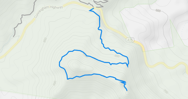 Mount Mitchell Track Hiking Trail - Warwick | Trailforks