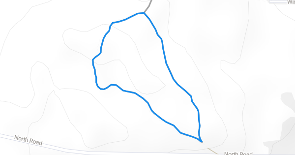 Elder Cedar Loop Hiking Trail - Gabriola Island, BC