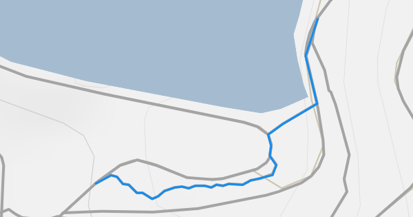 Endless Start - Bluegum Dam Mountain Biking Trail - Somerset West