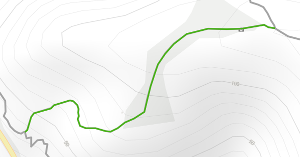Puhoi Track Hiking Trail - Wenderholm Regional Park