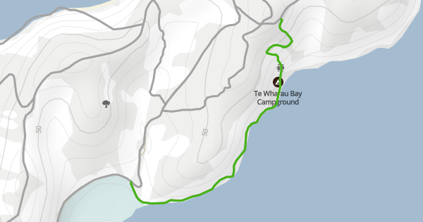 Te Wharau Bay Campground Trail Hiking Trail
