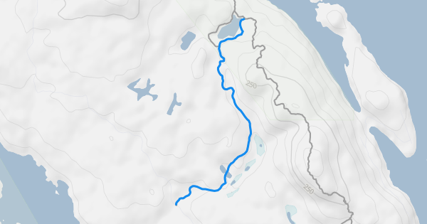 Wednesday Lake Trail Hiking Trail - - British Columbia