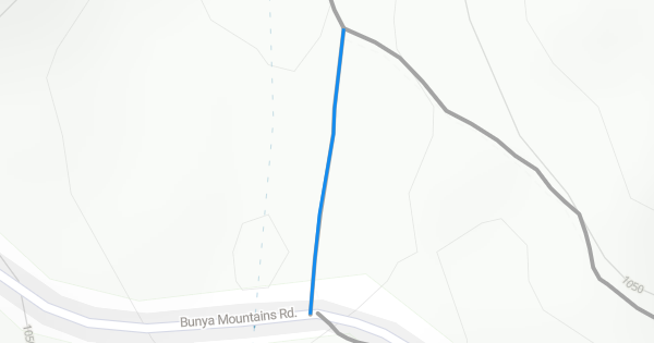 Paradise Falls Trail Hiking Trail - Bunya Mountains