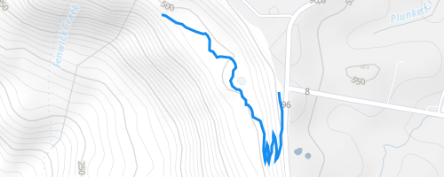 Witches Falls Circuit Hiking Trail - North Tamborine