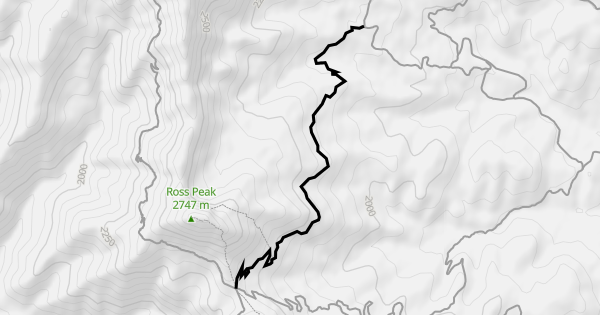 Ross Pass Multi Trail - Bozeman, Montana | Trailforks