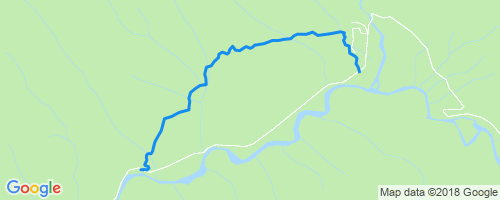 CCC Trail Mountain Biking Trail - North Bend, Washington