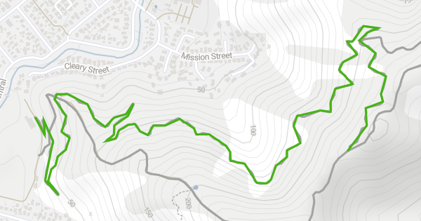 Te Whiti Riser Mountain Biking Trail - Lower Hutt