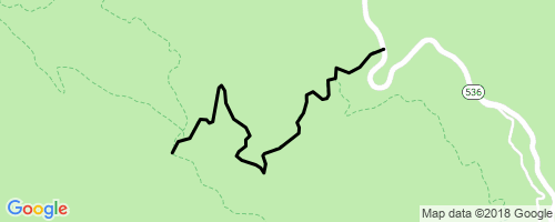 Tree Spring Mountain Biking Trail - Albuquerque, NM