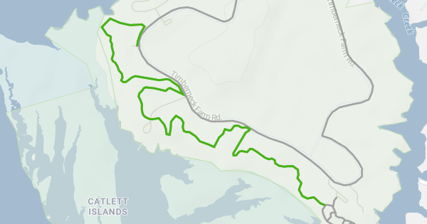 Forestry Trail Hiking Trail - Hayes, Virginia