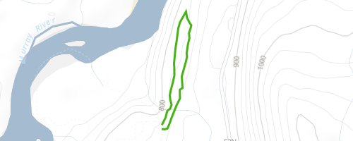 Escher's loop Multi Trail - Tumbler Ridge, BC