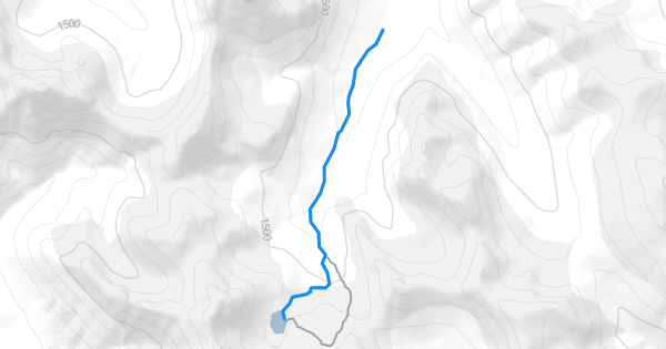 Windfall Lake Trail Hiking Trail - Tumbler Ridge, BC