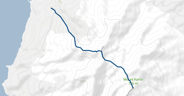Karioi Track Hiking Trail - Karioi, Raglan | Trailforks