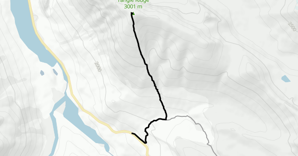 Tangle Ridge Route Hiking Trail - Jasper, Alberta