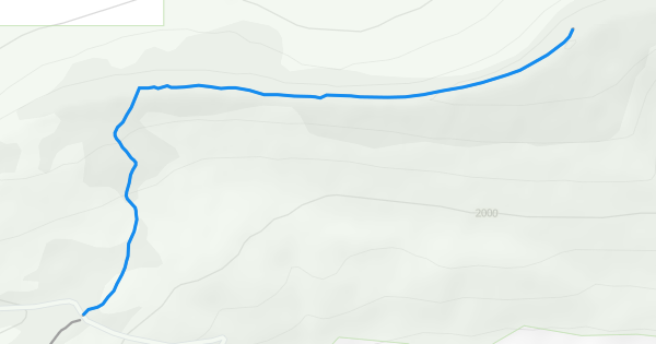 Cardinal Divide Ridge Route Hiking Trail - Jasper, AB