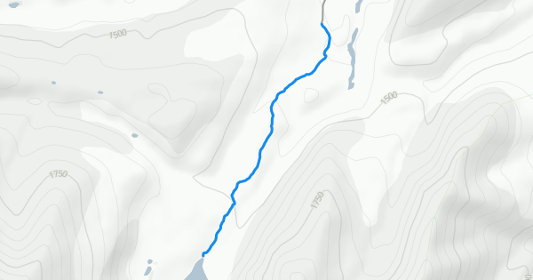 Flower Springs Lake Trail Hiking Trail - Fort St. John