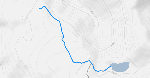 McCrae Lake Trail Hiking Trail - Revelstoke, BC