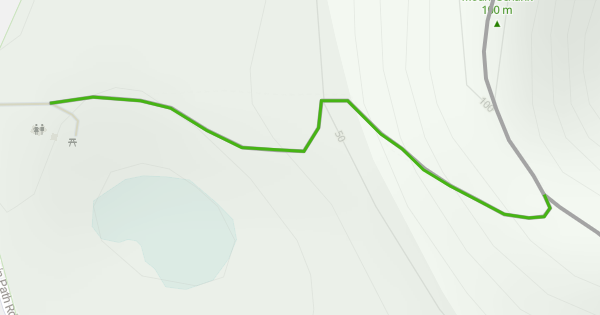 Mt. Schank Walking Trail Hiking Trail - | Trailforks