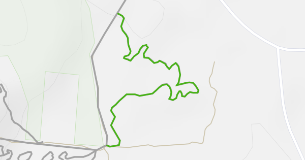 Robe MTB Track Mountain Biking Trail - Robe | Trailforks