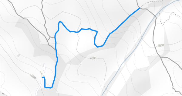 Grotto Mountain Trail Multi Trail - Canmore, Alberta