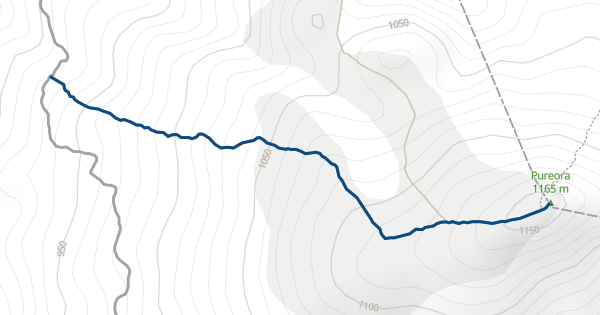 Toi Toi Track Multi Trail - Taupo | Trailforks