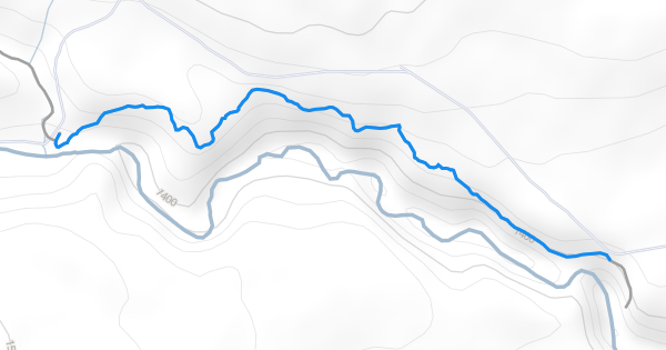 Crescent Falls Trail Hiking Trail - Nordegg, Alberta
