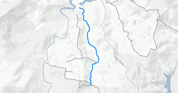 Waterfall Creek Break Hiking Trail - Springbrook