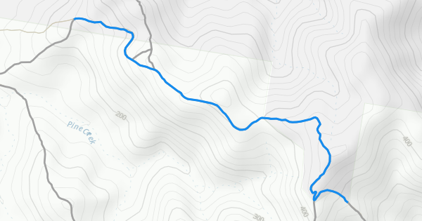 Pinnacle Break Hiking Trail - Springbrook | Trailforks