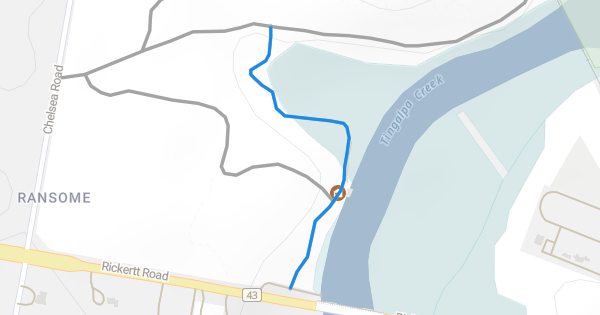 Tingalpa Creek Track Mountain Biking Trail - Brisbane