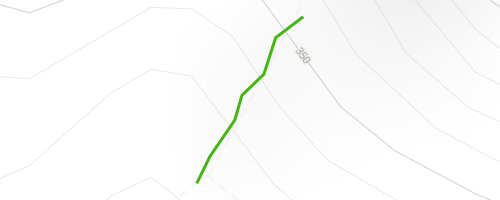 Windy Lookout Track Hiking Trail - Palmerston North