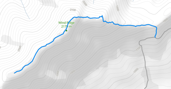 Wind Ridge Trail Hiking Trail - Canmore, Alberta