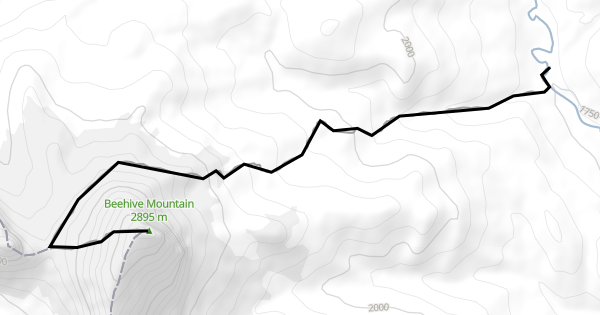 Beehive Mountain Route Hiking Trail - Coleman, Alberta