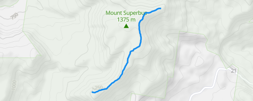 Mt Superbus Lincoln Ridge Track Hiking Trail - Warwick