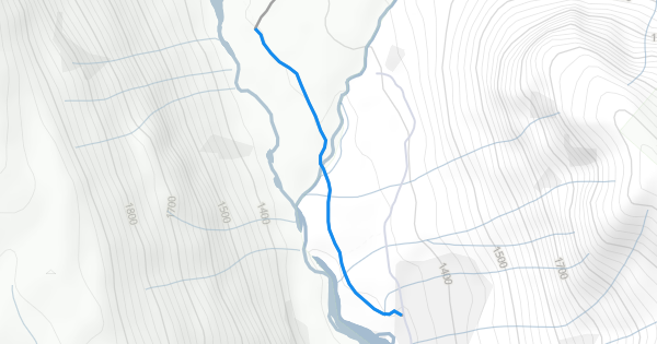 Palliser River Trail Hiking Trail - Invermere, BC