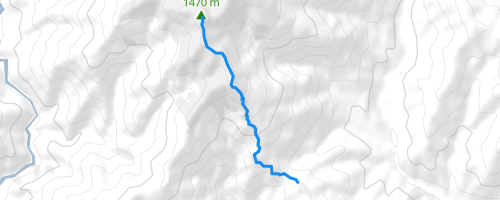 Mount Holdsworth Track Hiking Trail - Masterton