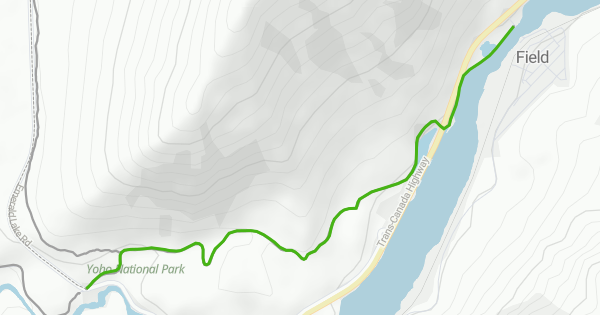 Tally-Ho Trail Nordic Skiing Trail - Field, BC
