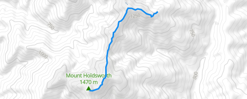 Holdsworth Jumbo Circuit Hiking Trail - North Island