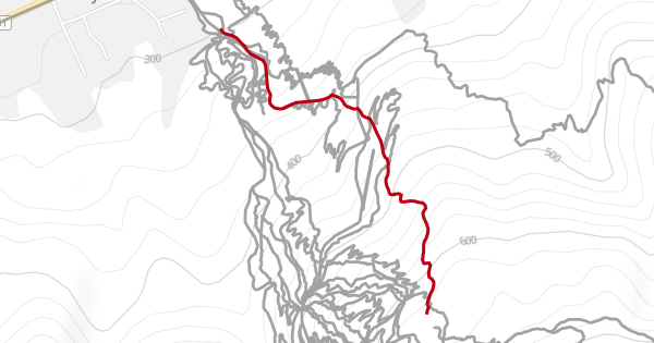 The Natty (Race Only) Mountain Biking Trail - Maydena