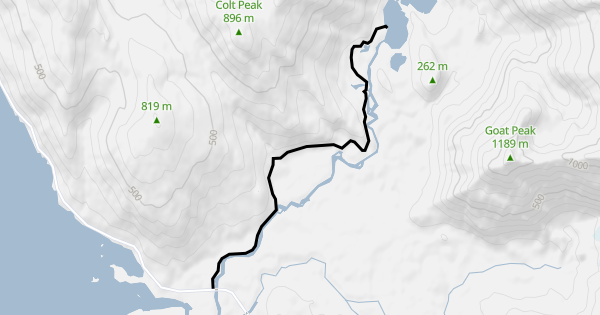 Eagle Glacier Trail Hiking Trail - Juneau, Alaska