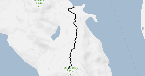 Mount Riley Trail Hiking Trail - Haines, AK | Trailforks