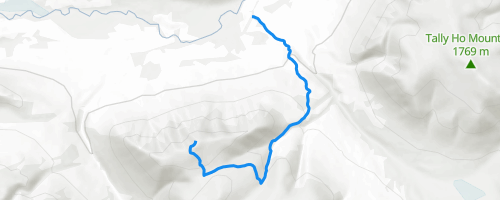 Mount Anderson Route Hiking Trail - Carcross, YT